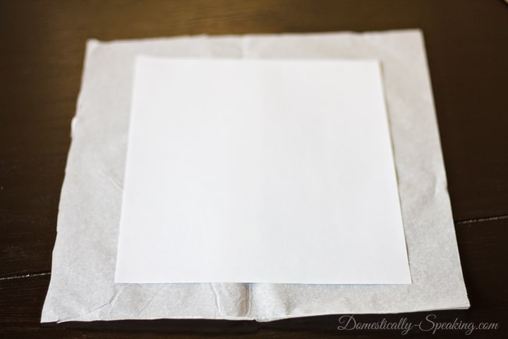 Fall Tissue Paper Art - Domestically Designed