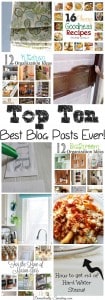 Best Blog Posts Ever | You Made These Top Ten Popular - Domestically ...