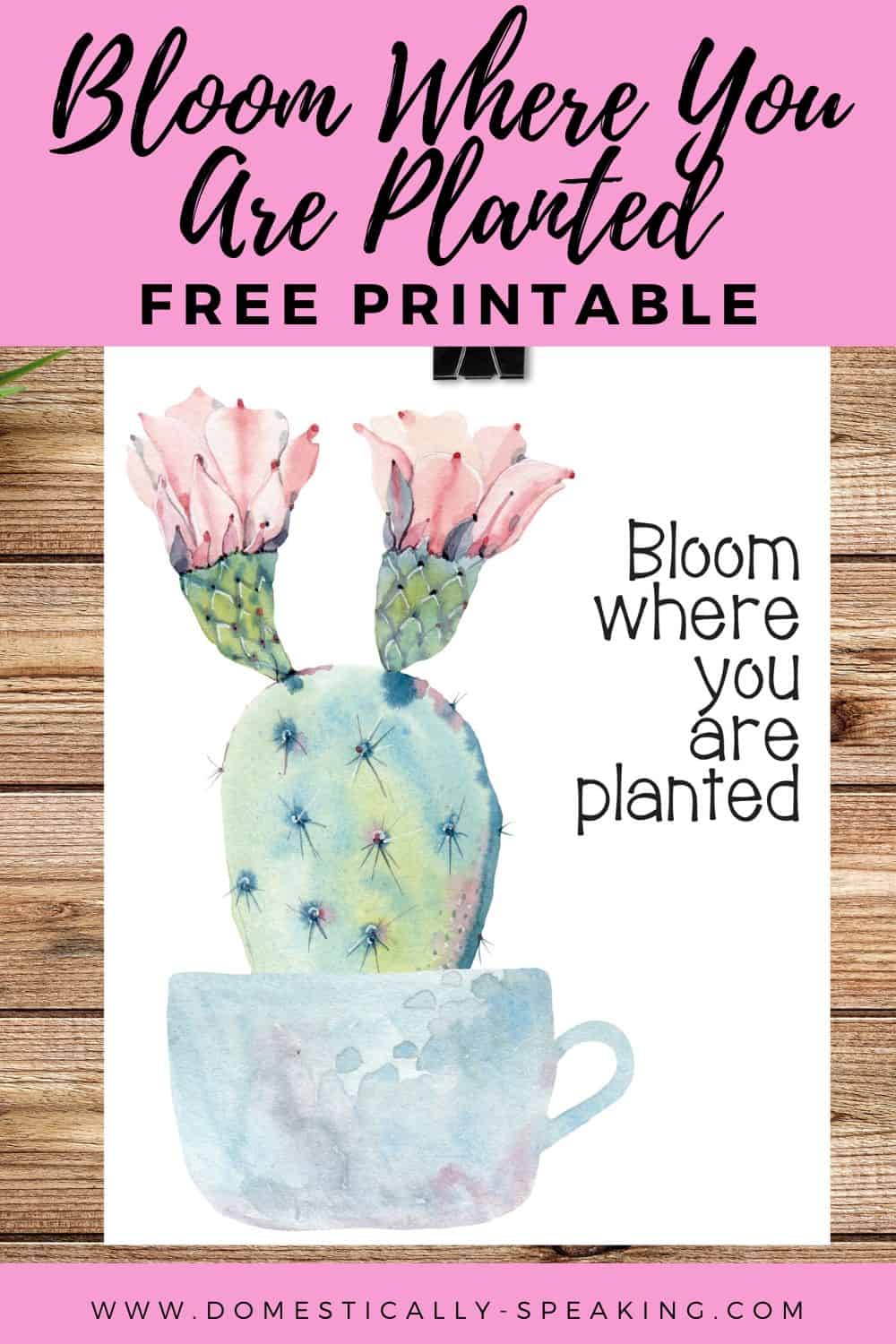 Bloom Where You are Planted Printable - Domestically Designed
